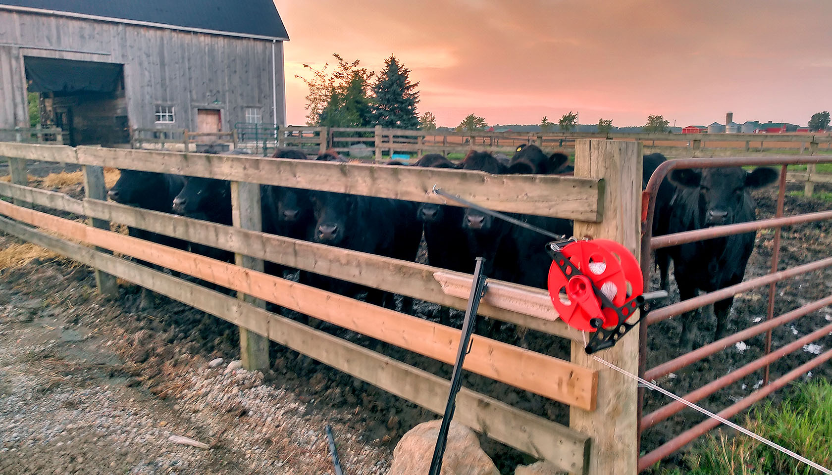 October 2018 Tailgate Talk – Interseeding & Grazing Cover Crops ...